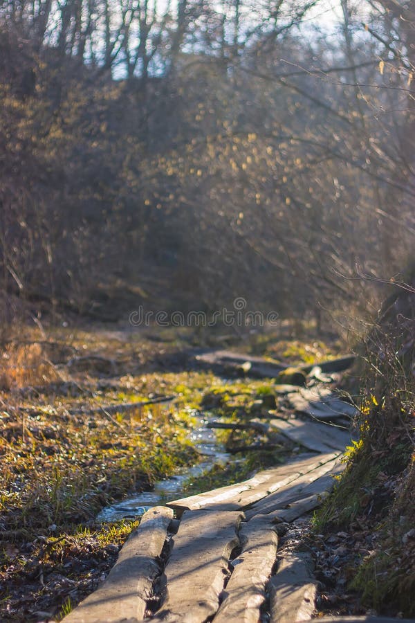 Wet muddy country pathway stock photo. Image of dirty - 93211778