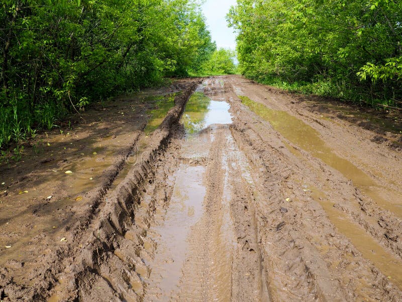 Wet Muddy Country Road, a Country Road with Ruts and Puddles Stock ...