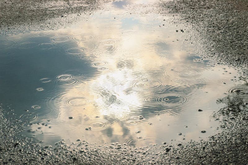 Wet muddy country road stock photo. Image of house, groove - 97849142