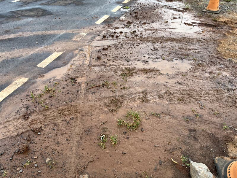 Wet, Muddy Roadside with Patches of Grass and Tire Tracks after ...
