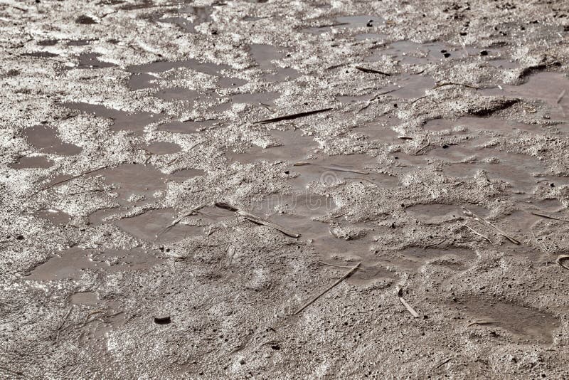 9,503 Soft Soil Texture Stock Photos - Free & Royalty-Free Stock Photos ...