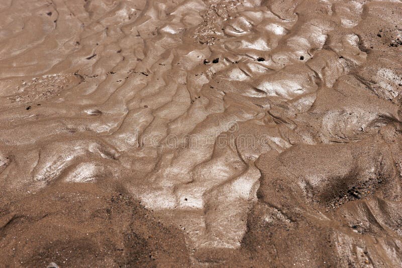 Wet Natural Mud. Brown Soil after Rain Stock Image - Image of view ...