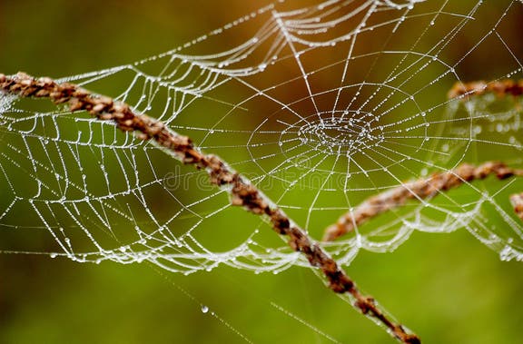 Wet Net 2 stock image. Image of dense, fear, ball, deep - 758867