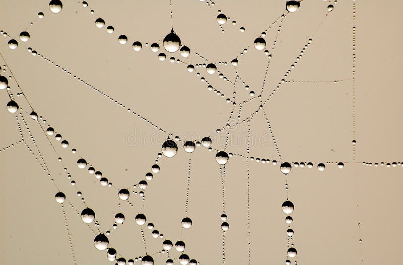 Wet Net 3 stock photo. Image of fantasy, black, cool, dense - 758874