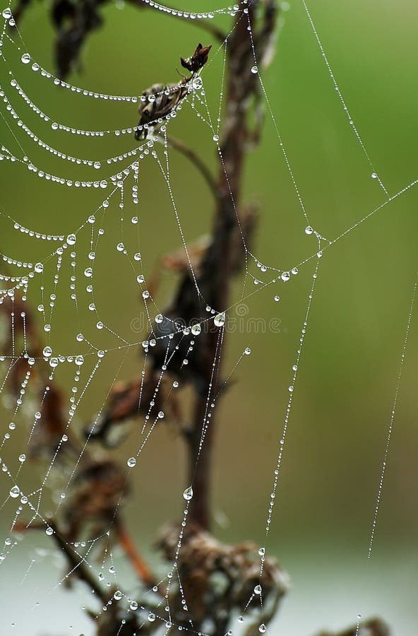 Wet Net 4 stock photo. Image of circle, black, deep, bubble - 758878