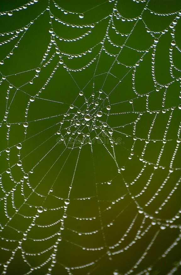 Wet Net 7 stock image. Image of backdrop, danger, condense - 758913