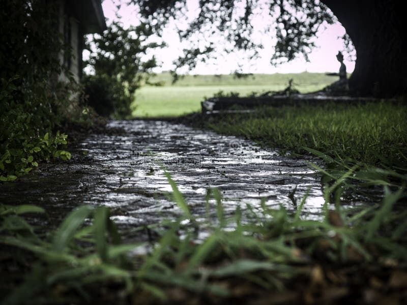 Wet path stock image. Image of distance, blur, background - 56130075