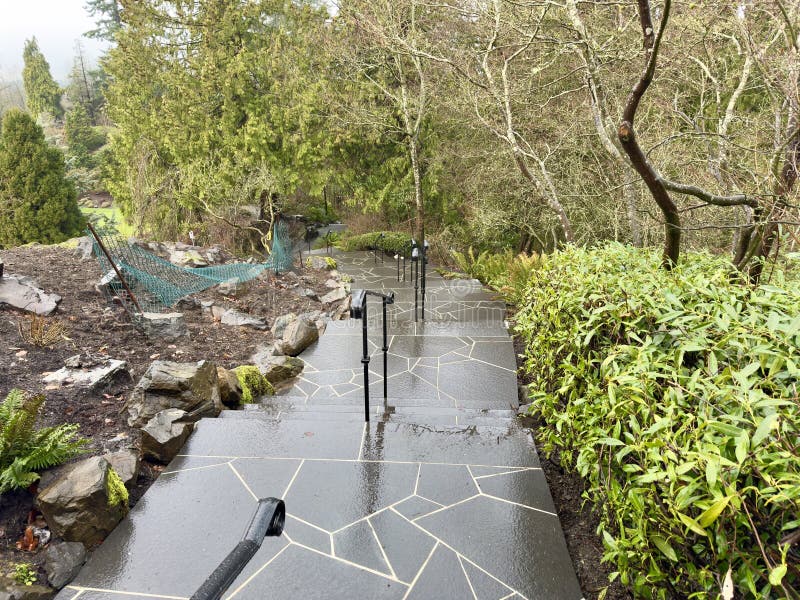Wet Path of Slabs Surrounded by Greenery in Spring in the Park Stock ...