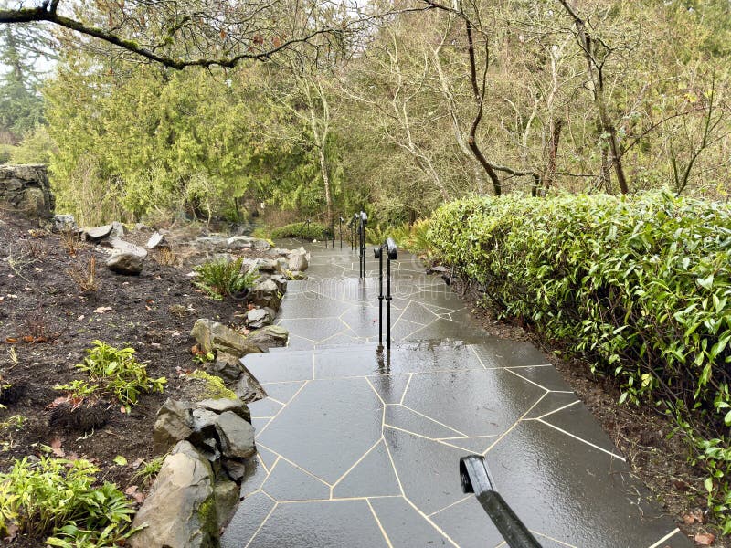 Wet Path of Slabs Surrounded by Greenery in Spring in the Park Stock ...