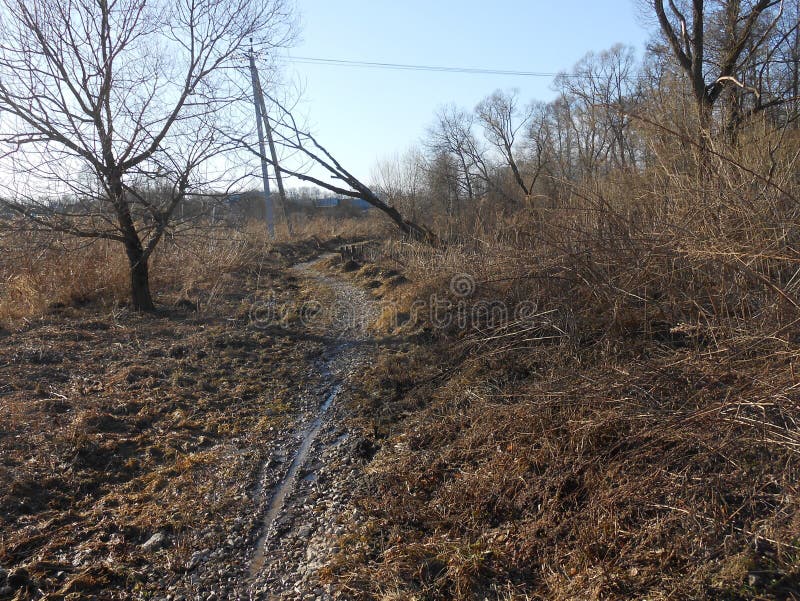 Wet Path in the Spring Day. Stock Image - Image of scenic, spring ...