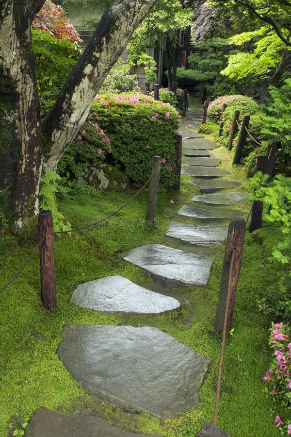 Zen pathway stock photo. Image of stone, summer, azalea - 38772048