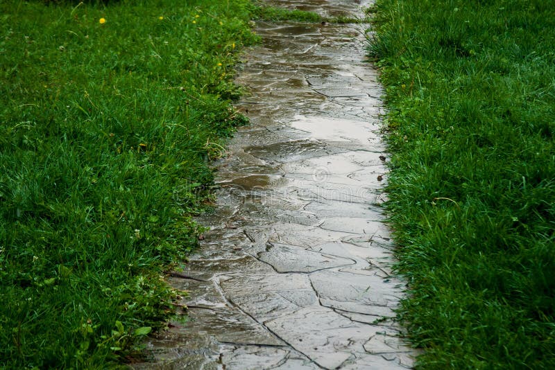 Wet pathway in the park stock image. Image of water, lane - 59113597