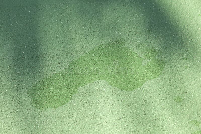 Wet Pattern of a Foot at the Green Stock Image - Image of shape, sunny ...