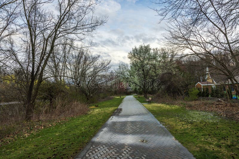 Wet Paved Walkway through Spring Park with Bare Trees and Budding ...