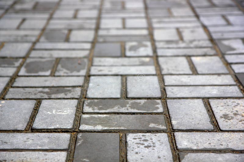 Wet Pavement after the Rain Stock Image - Image of backgrounds, paved ...