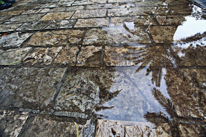 Wet Pavement Texture Stock Images - Download 4,135 Royalty Free Photos