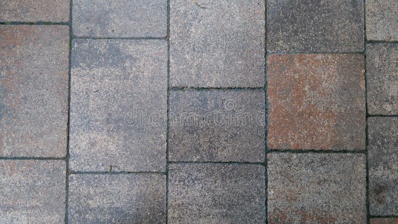 Wet pavement stock photo. Image of moss, rain, texture - 106778764