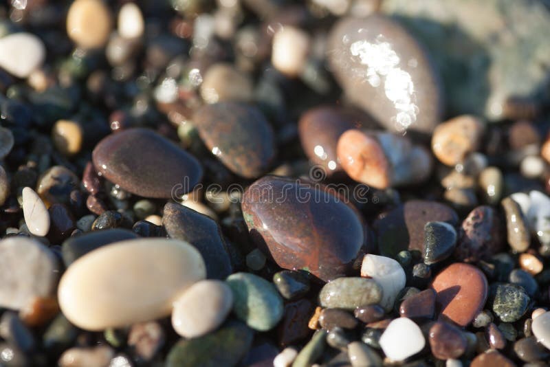 Wet Pebble Texture Close Up Stock Image - Image of water, smooth: 121396577