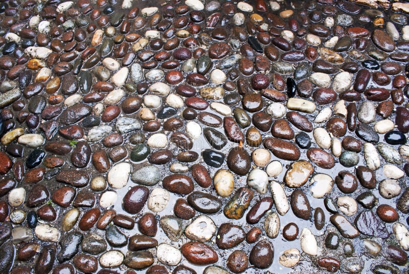 Wet pebbles stock photo. Image of natural, brick, ground - 38371704