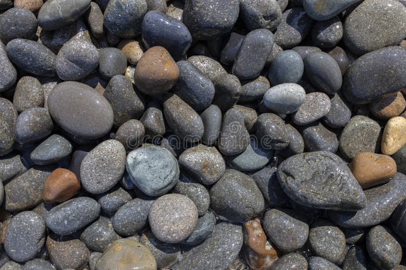 Wet Pebbles on a Beach Background in Various Shapes, Sizes and Colours ...