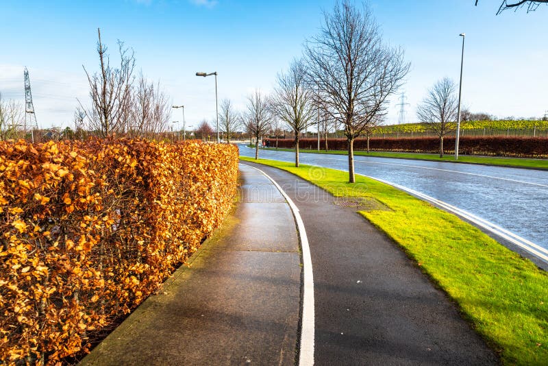Wet Pedestrian and Bicycle Path on a Clear Winter Day Stock Photo ...