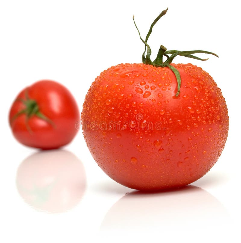 Wet perfect tomato stock image. Image of dietary, health - 4742185