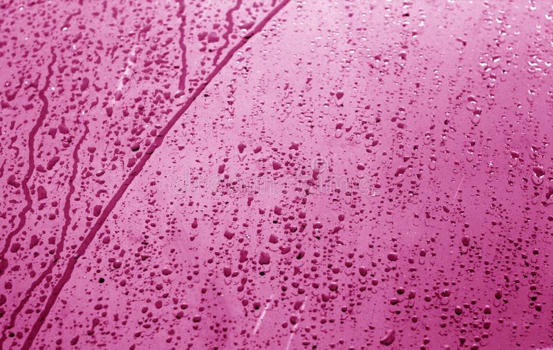 336 Pink Pvc Texture Stock Photos - Free & Royalty-Free Stock Photos ...