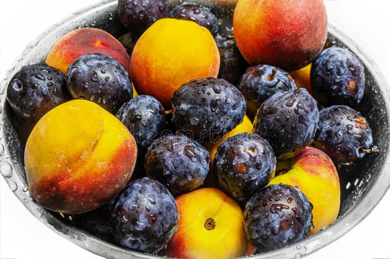 Wet Plums and Peaches after Washing Stock Image - Image of colander ...