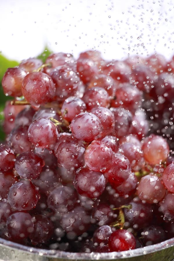Wet red grapes stock photo. Image of colander, hygiene - 21552542