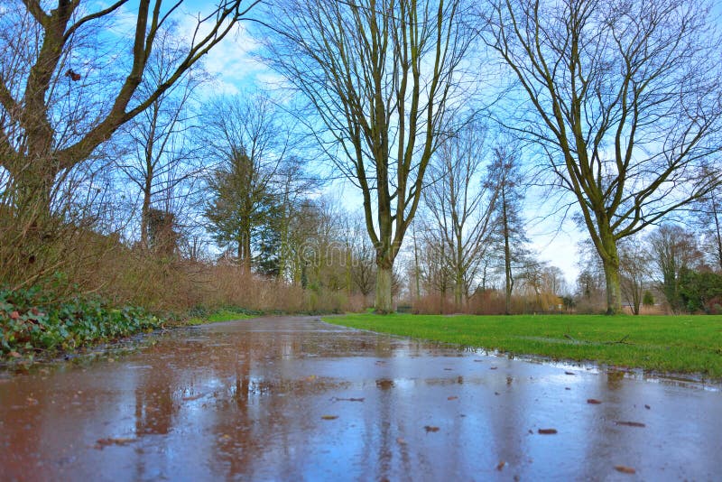 Wet red road in a park stock image. Image of reflection - 66478527