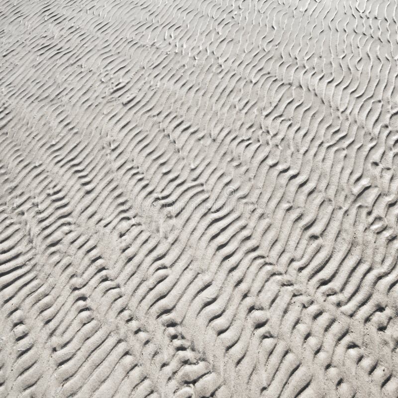 Rippled sand dune stock photo. Image of ripples, textured - 14369426