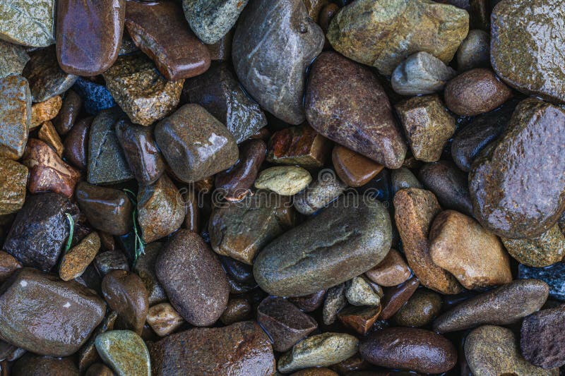 These are Wet River Pebbles and Small Round Pebbles. Solid Background ...