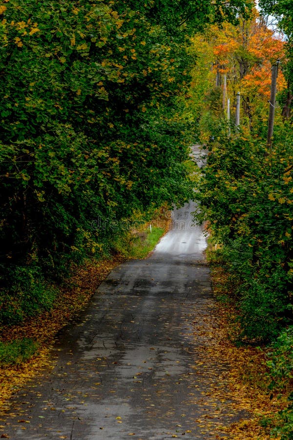 Wet Road in the Fall stock photo. Image of dirt, chester - 49324530