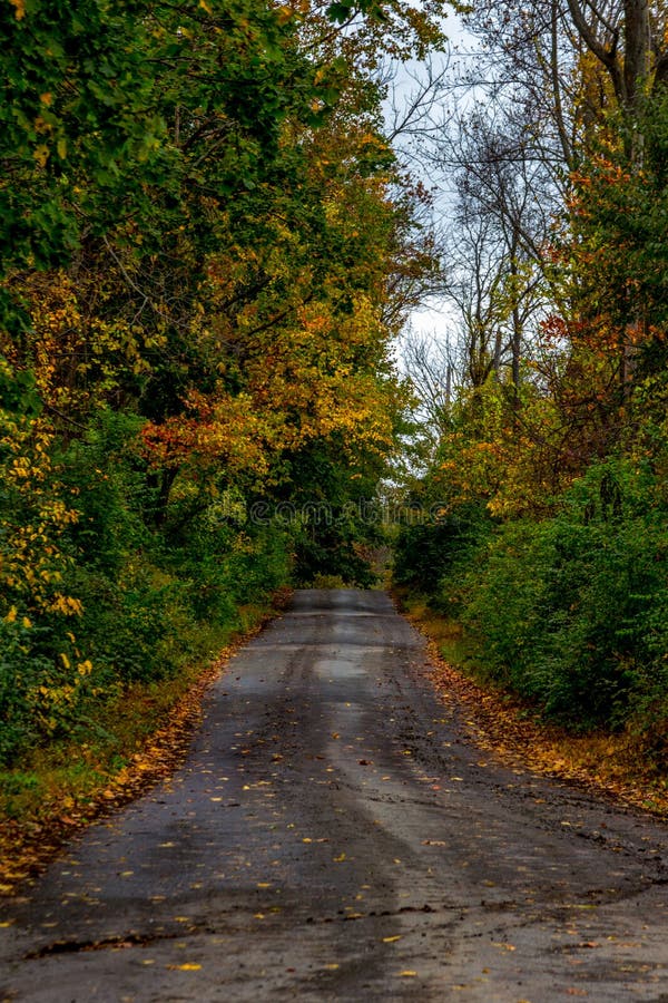 Wet Road in the Fall stock image. Image of pennsylvania - 49324611