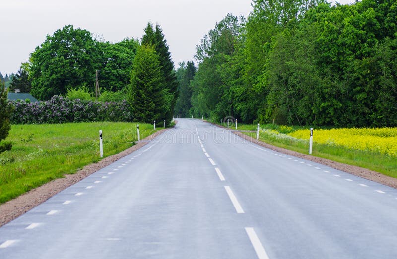 Wet Road Next To Raps Field Stock Photos - Free & Royalty-Free Stock ...