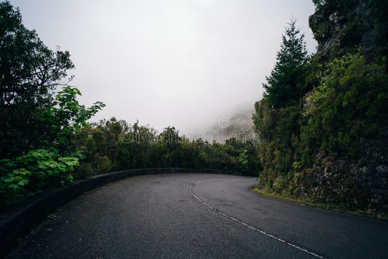 Wet Road after Rain in the Forest Stock Photo - Image of destination ...