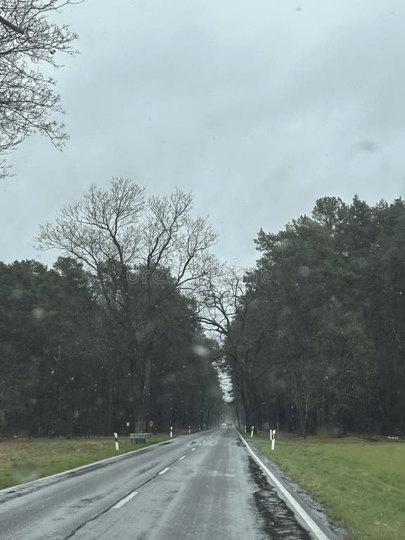 Rainy Road with Bare Trees and a Passing Car Stock Image - Image of ...