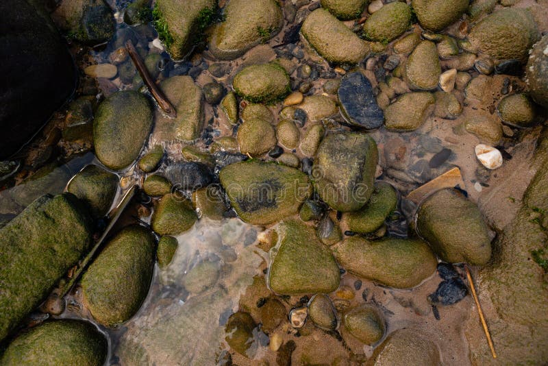 Wet Rock Formation Full of Texture on the Edge of a Beach. Preserved ...