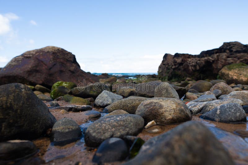 Wet Rock Formation Full of Texture on the Edge of a Beach. Preserved ...