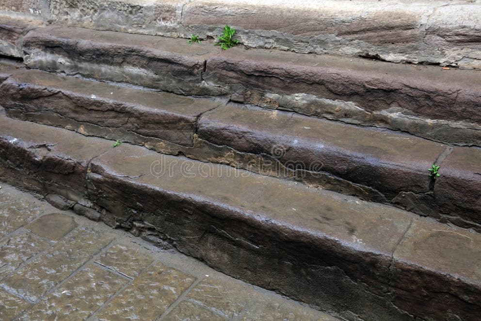 Wet rock steps stock photo. Image of stones, nature - 365743032