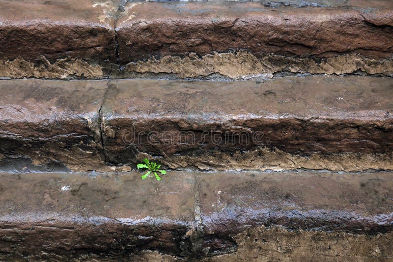 Wet rock steps stock photo. Image of texture, walking - 370698746