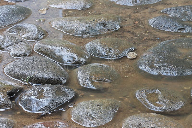 Lake with boiling water stock image. Image of toxic, geophysics - 5332373
