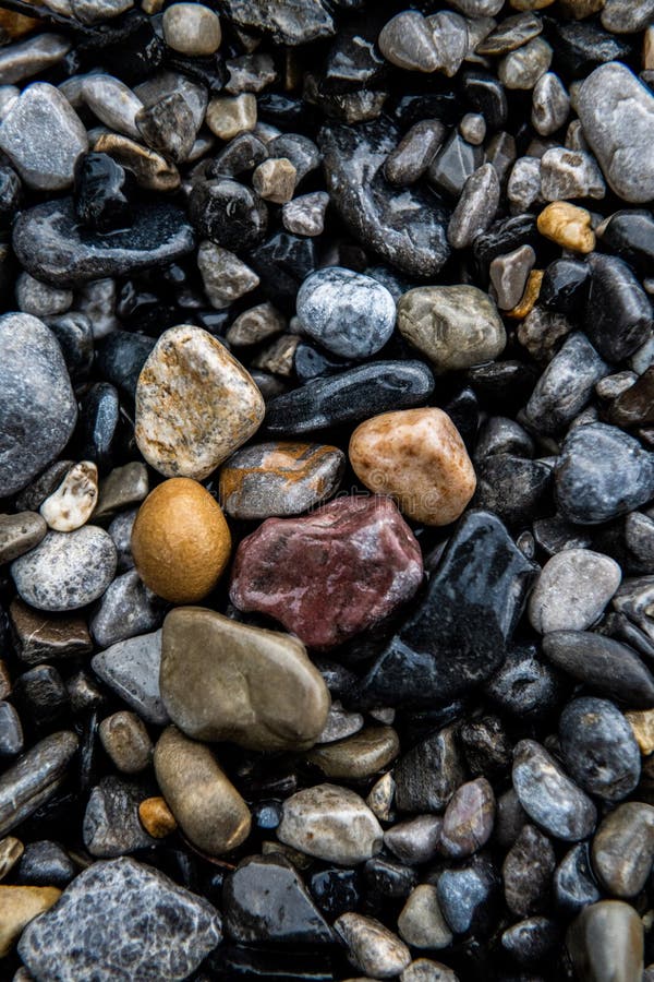 Wet Rocks Banff Beautiful Vibrant Colors Patterns Stock Photos - Free ...