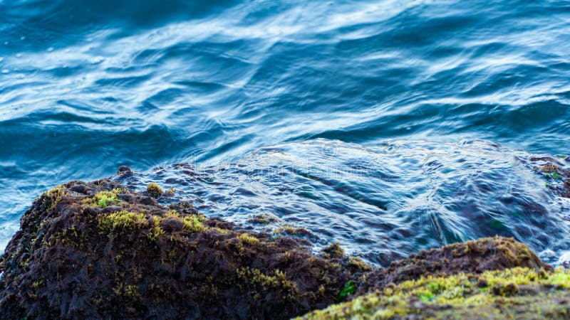 Rocks Near the Sea with Moss Stock Image - Image of peaceful, light ...