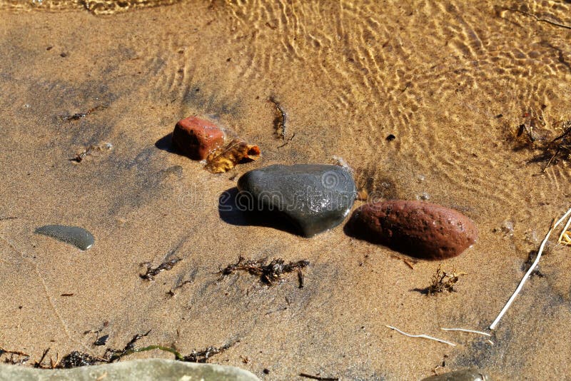 Wet Rocks on Sandy Shoreline of the St. Croix River Stock Photo - Image ...
