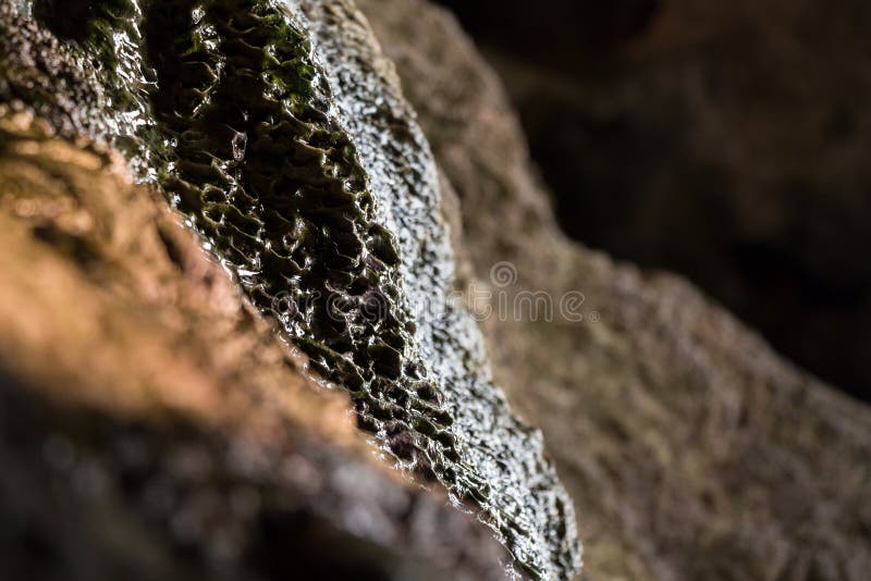 Wet and Rough Surface of Stone in a Seaside Cave Stock Image - Image of ...