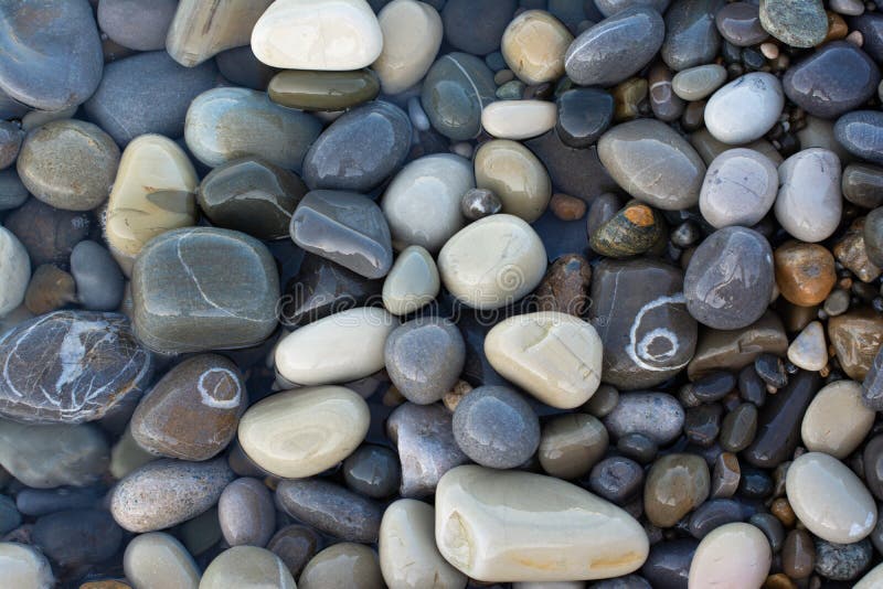 Wet Round Pebbles. Background with Round Pebble Stones. Stones Beach ...
