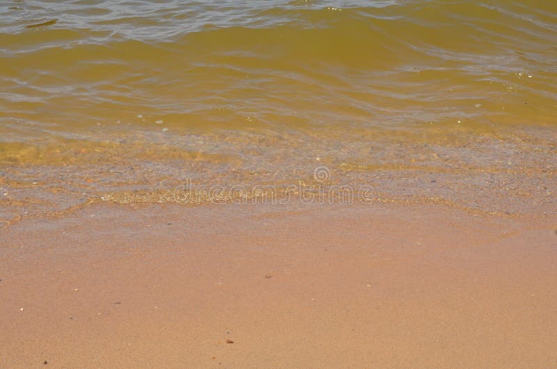 Wet Sand with Shells and Rocks at Beach or Coast Stock Image - Image of ...