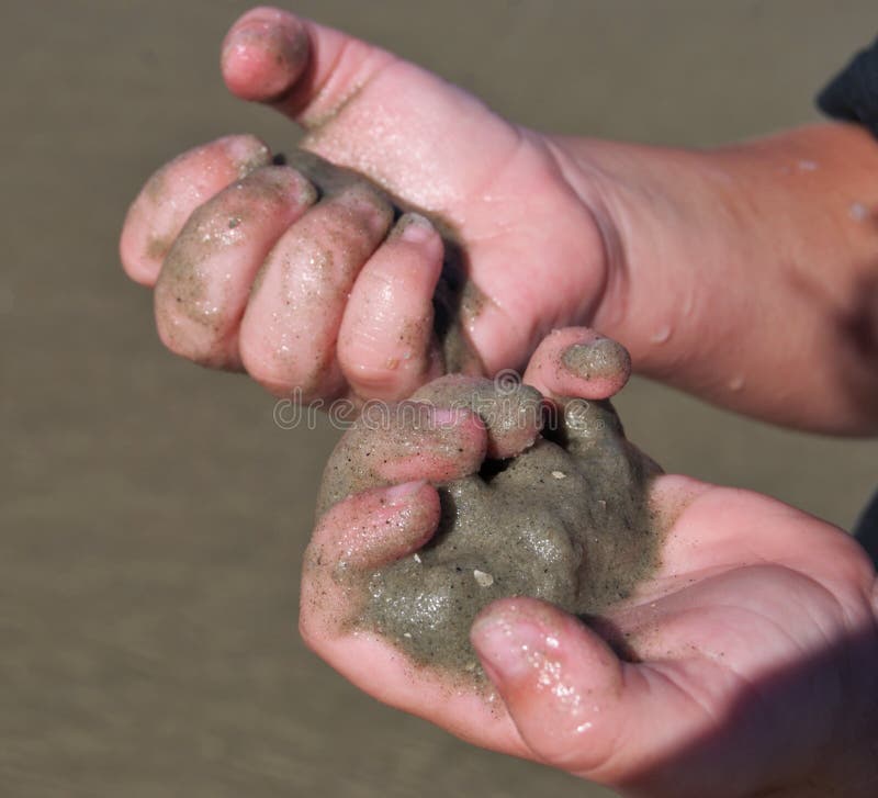 Wet sand childs hand stock photo. Image of child, little - 102416036