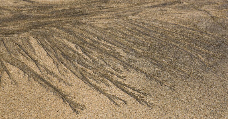 Wet Sand Pattern on Beach stock photo. Image of beauty - 82650702